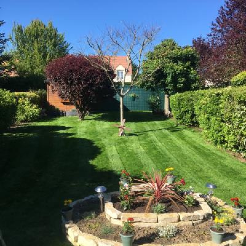 Steven Bek - Jardinier,paysagiste . à Lardy (91510) - AlloVoisins