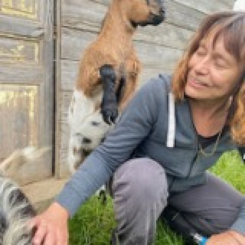 Veronique VASTEL - OFFRE VARIEE DE SERVICES à Saint-Gatien-des-Bois ...