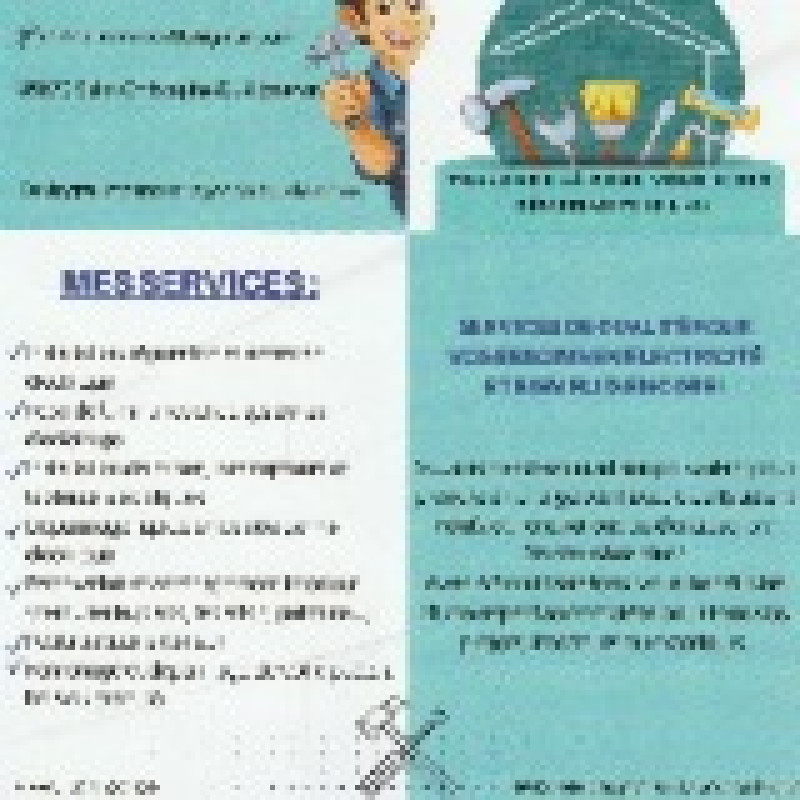 Raphael Alber (AR éléctricité multiservices 85) - Electricien à Saint ...