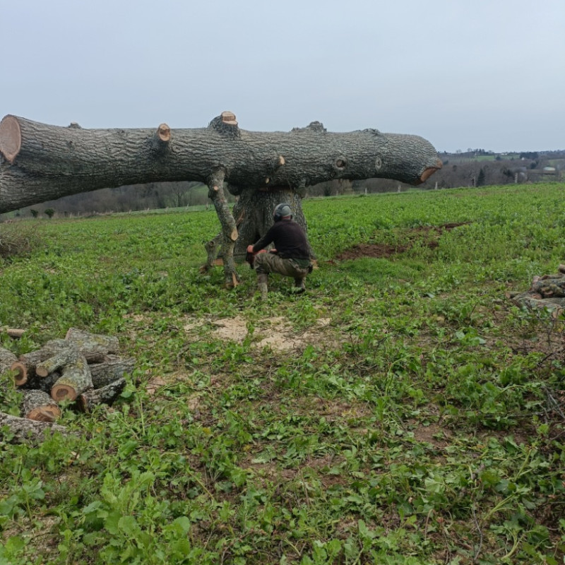 Paul Payan (3paysages) - Paysagiste à Saint-James (50240) - AlloVoisins