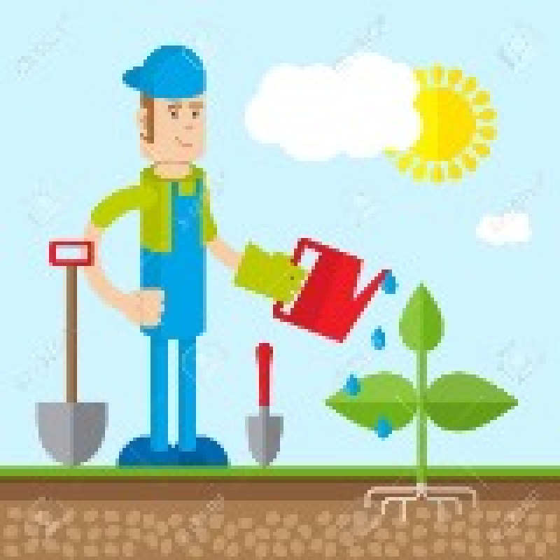 Maxime C - Jeune homme qui aime jardiner à Briec (29510) - AlloVoisins