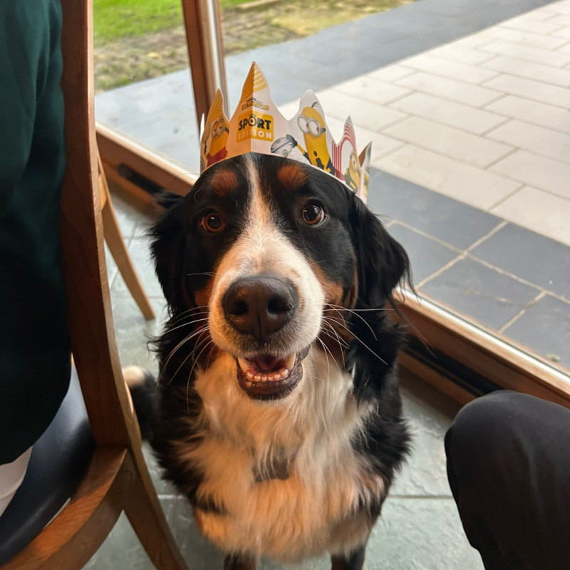 Nathalie Bénard - Garde de chien à Saint-Léonard (76400) - AlloVoisins