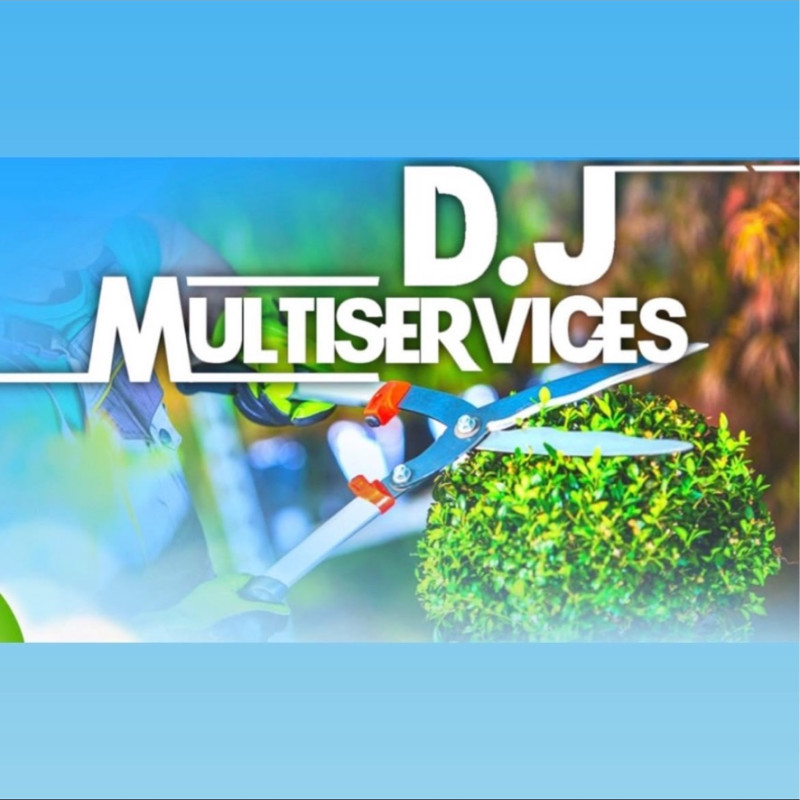 Yony Albus (DJ MULTI-SERVICES) - Multi-services à Champvert (58300) - AlloVoisins