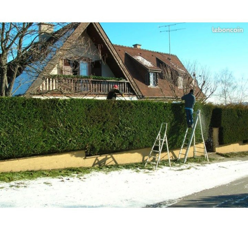 Nico Mayer - Jardinier élagueur à Lorient (56100) - AlloVoisins