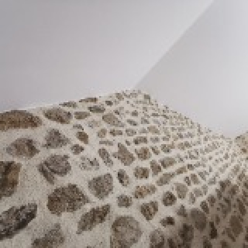 Ali Akcay (Qu.A L I.Pro.) - Plâtrier peintre à Montbrison (42600 ...