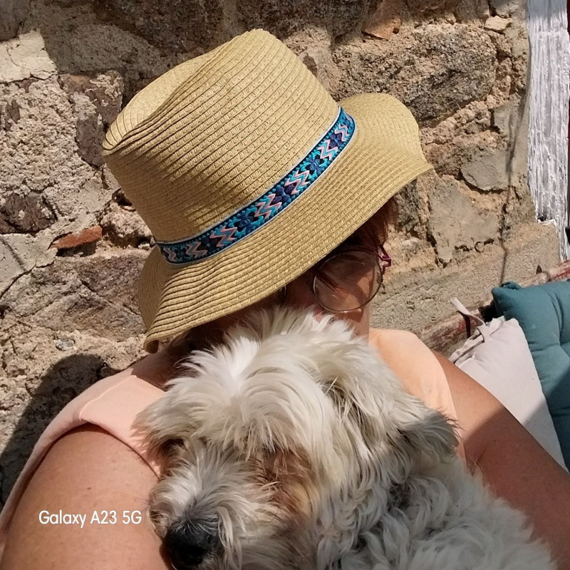 Isabelle Pomeret - Repassage/ménage/garde animaux à Castelnau ...