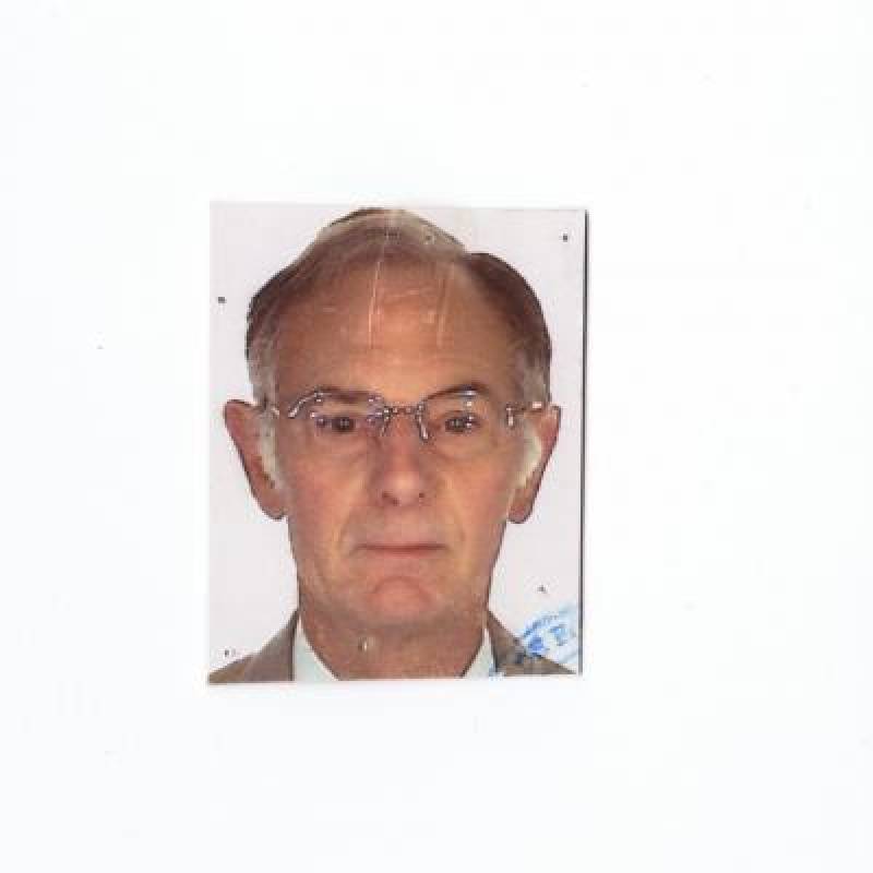 Daniel caron - Très bon bricoleur à Fontenay-sous-Bois (94120 ...