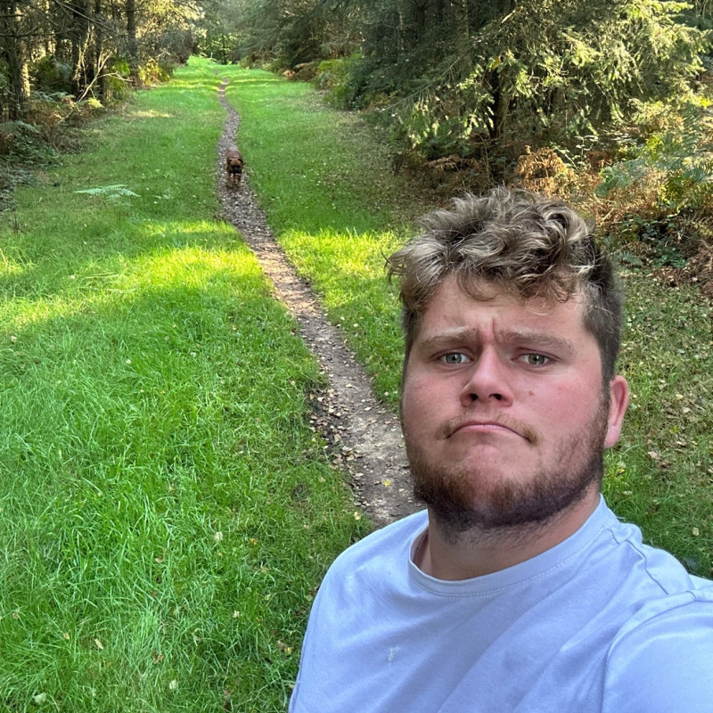 Gabin Albenque - G-arbre à Laignelet (35133) - AlloVoisins