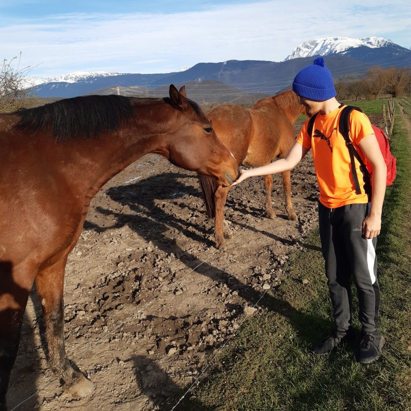 Brice Morel à Varces-Allières-et-Risset (38760) - AlloVoisins