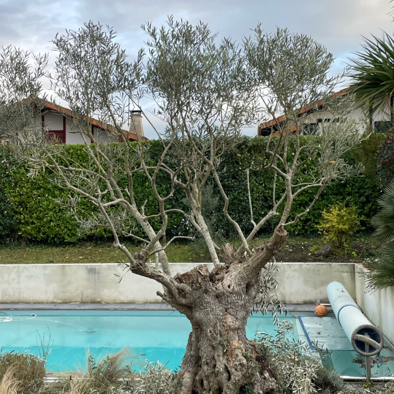 Benjamin Etcheverry (ETCHEVERRY jardin) - Jardinier à Arcangues (64200 ...